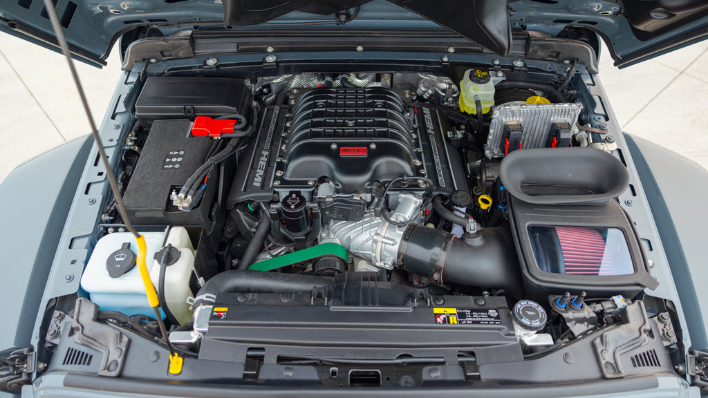 2025 Jeep Gladiator - HELLEPHANT | AMW 1000 - America's Most Wanted 4x4