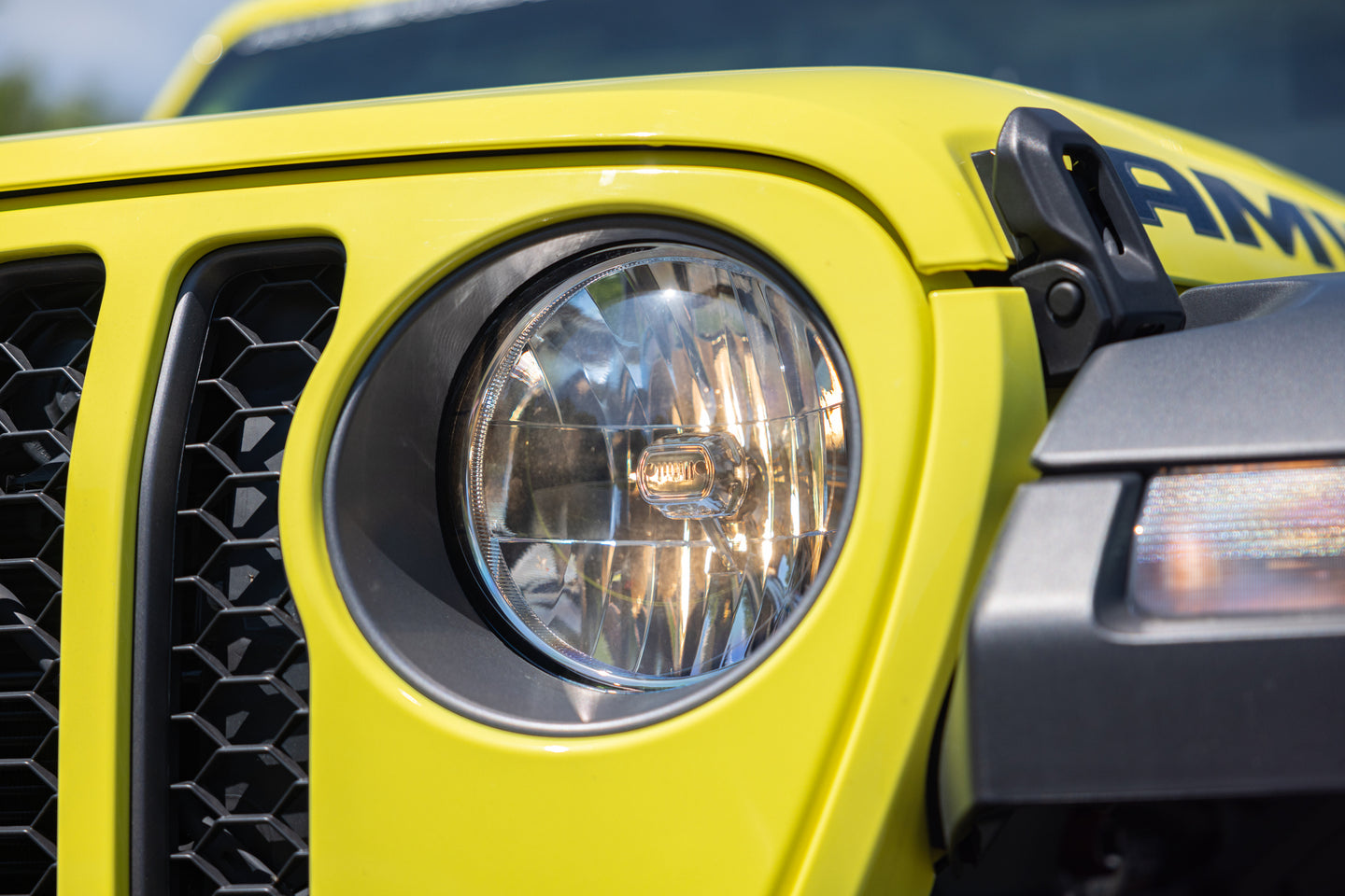 AMW 505 - America's Most Wanted 4x4